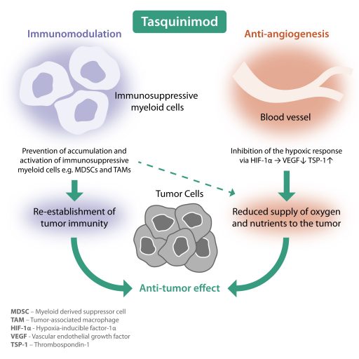 Active Biotech » Tasquinimod