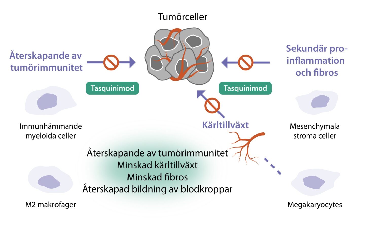 Active Biotech » Tasquinimod