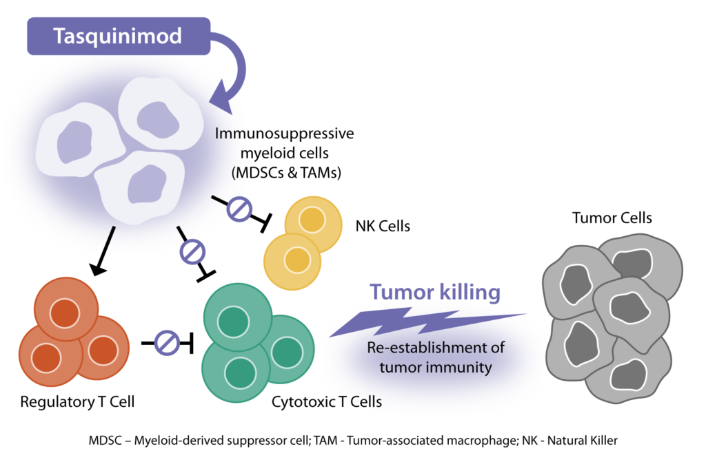 Active Biotech » Tasquinimod